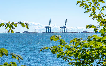 Primele concluzii în urma cercetării despre poluare a Code for Romania ...